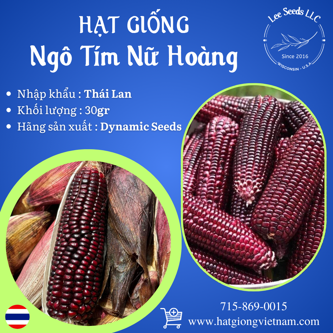 HẠT GIỐNG NGÔ TÍM NỮ HOÀNG [ DYNAMIC SEEDS THÁI LAN ] — Hạt giống rau củ Việt Nam tại Mỹ - Lee's ...