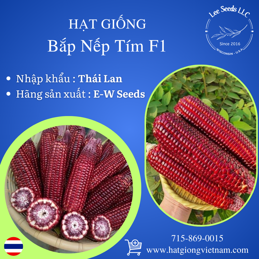 Bắp Nếp Tím F1 [ E-W Seeds - Thái Lan ] — Hạt giống rau củ Việt Nam tại Mỹ - Lee's Garden
