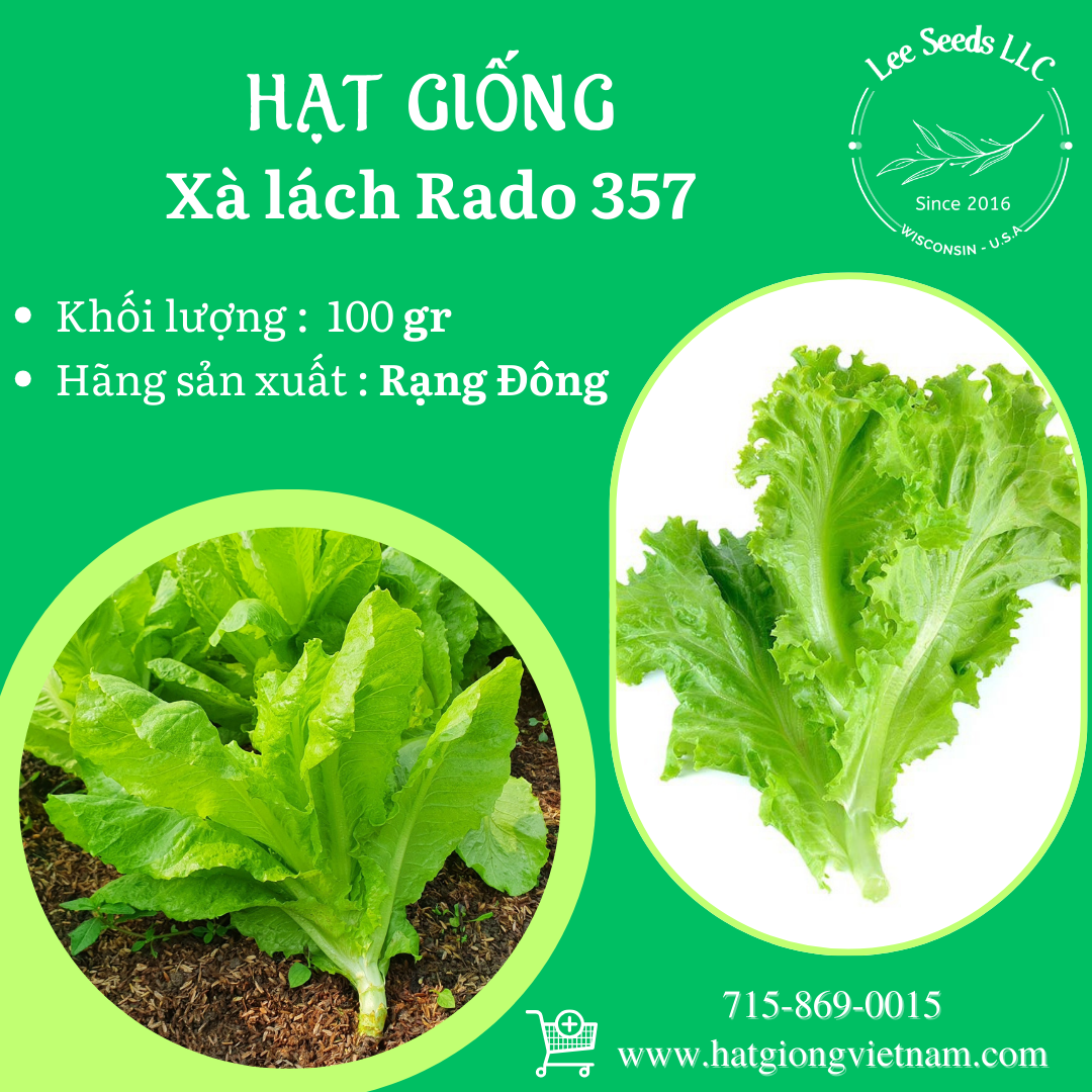 Xà Lách [ Rado 357 ] 100gr — Hạt giống rau củ Việt Nam tại Mỹ - Lee's ...