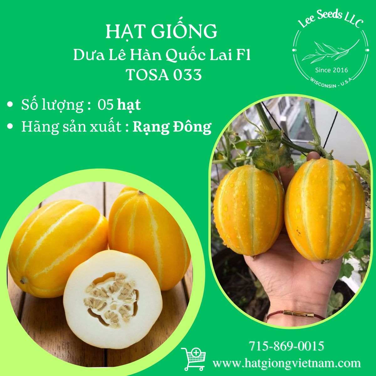 Dưa Lê Hàn Quốc Lai F1 TOSA 033 — Lee's Garden - Hạt giống rau củ Việt Nam.