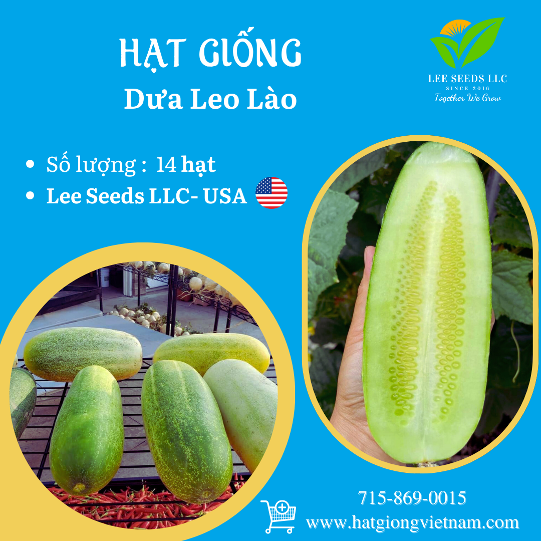 Dưa Leo Lào — Hạt giống rau củ Việt Nam tại Mỹ - Lee's Garden