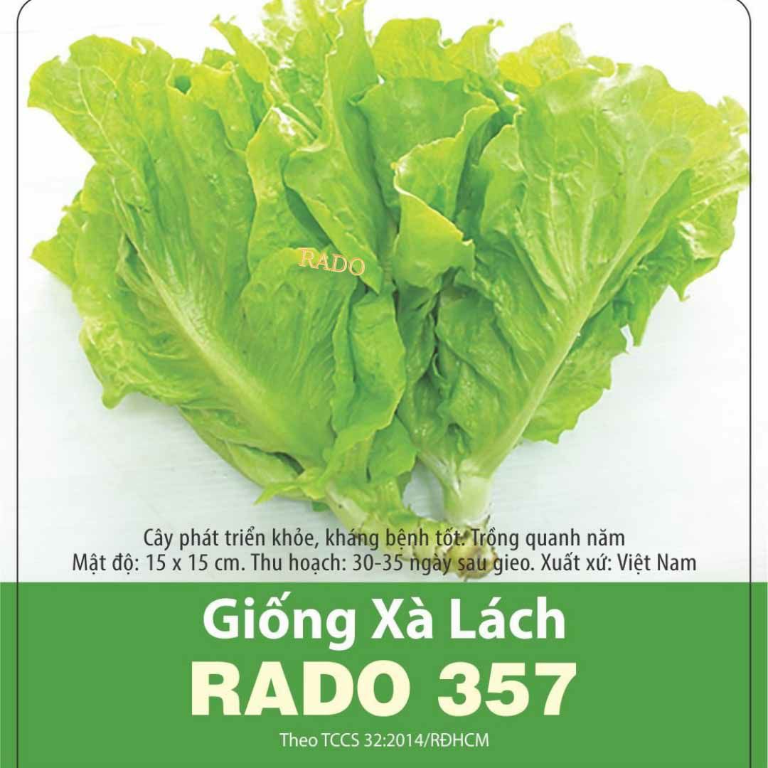 Xà Lách RADO 357 — Lee's Garden - Hạt giống rau củ Việt Nam.