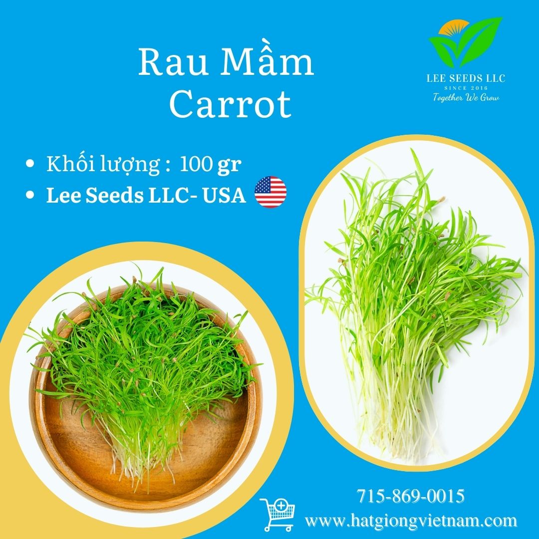 Hạt Giống Rau mầm Carrot tại Mỹ [ 100gr ] — Hạt giống rau củ Việt Nam ...